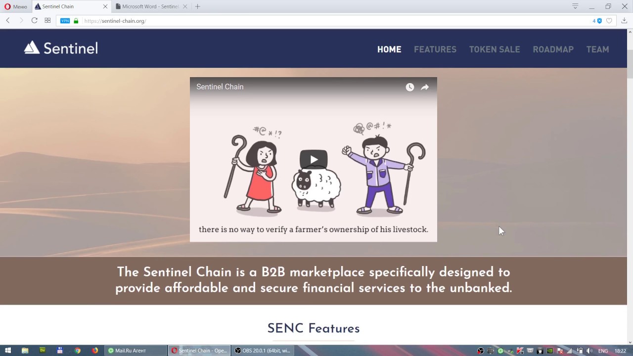 ICO Sentinel Chain - краткий обзор перспективного блокчейн-проекта ...