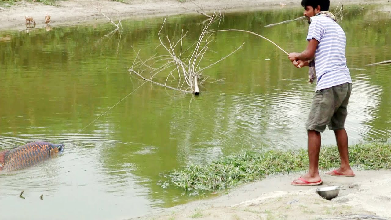 Fishing Rod Dragged Under Water EP-2 | Amazing fish catching | - YouTube
