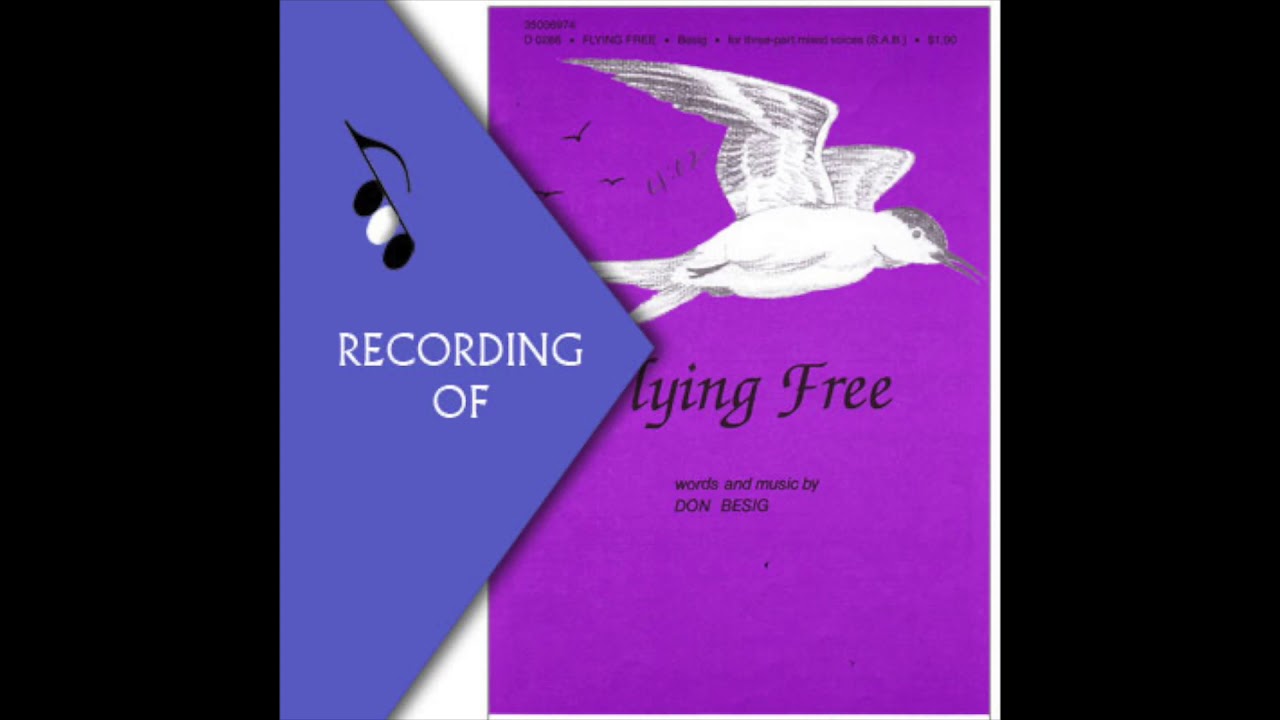Part Predominant Recording: FLYING FREE- Don Besig (Full Mix Sample ...