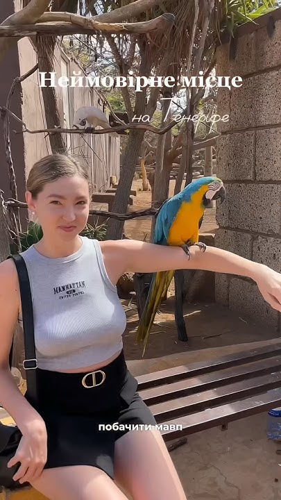 Неймовірне місце на Тенеріфе 😍 тенеріфе відпочинок острів тенерифе