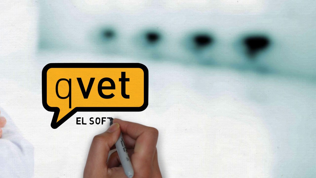Qvet-facturación - YouTube