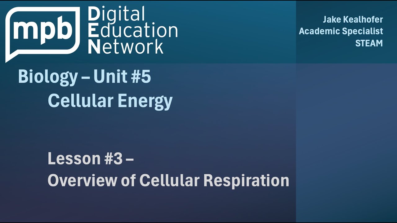 MPB Biology Unit 5 Lesson 3: Overview of Cellular Respiration - YouTube