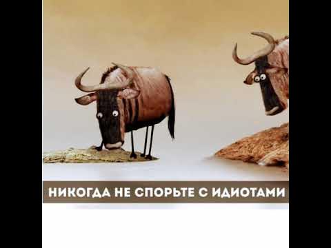 НИКОГДА НЕ СПОРЬТЕ С ИДИОТАМИ. - YouTube