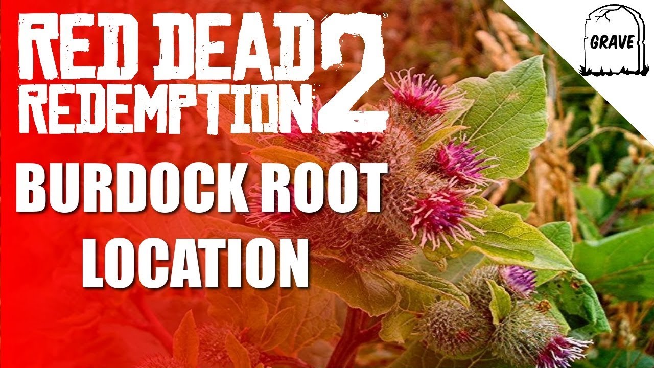 Burdock Root Location Red Dead Online | Daily Challenge - YouTube