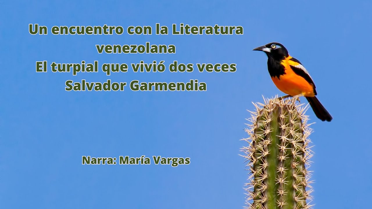 El turpial que vivió dos veces - YouTube