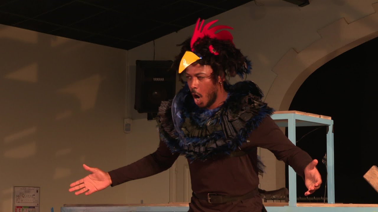 Sur l'île d'Oléron, un opéra fait revivre le coq Maurice - YouTube