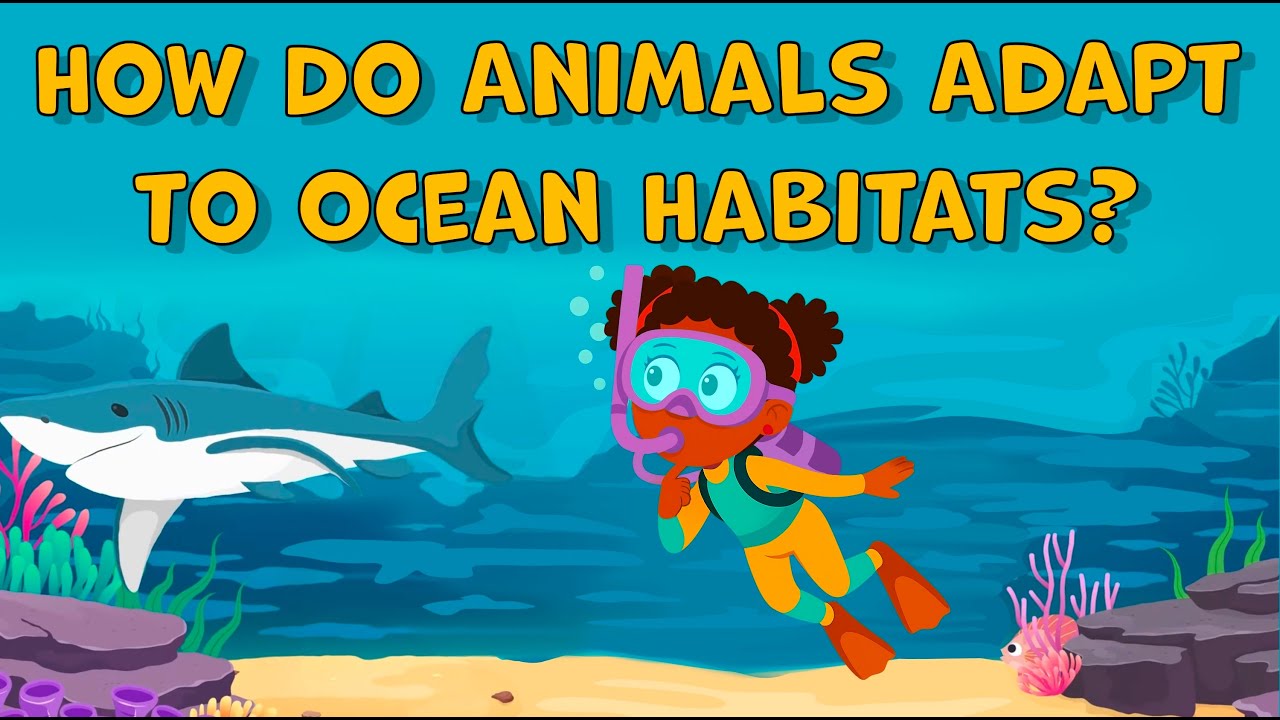 I Wonder How Do Animals Adapt to Ocean Habitats | Animals Facts for ...