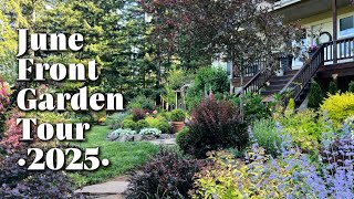 June Front Garden Tour! It’s a Gorgeous Time in the Garden!