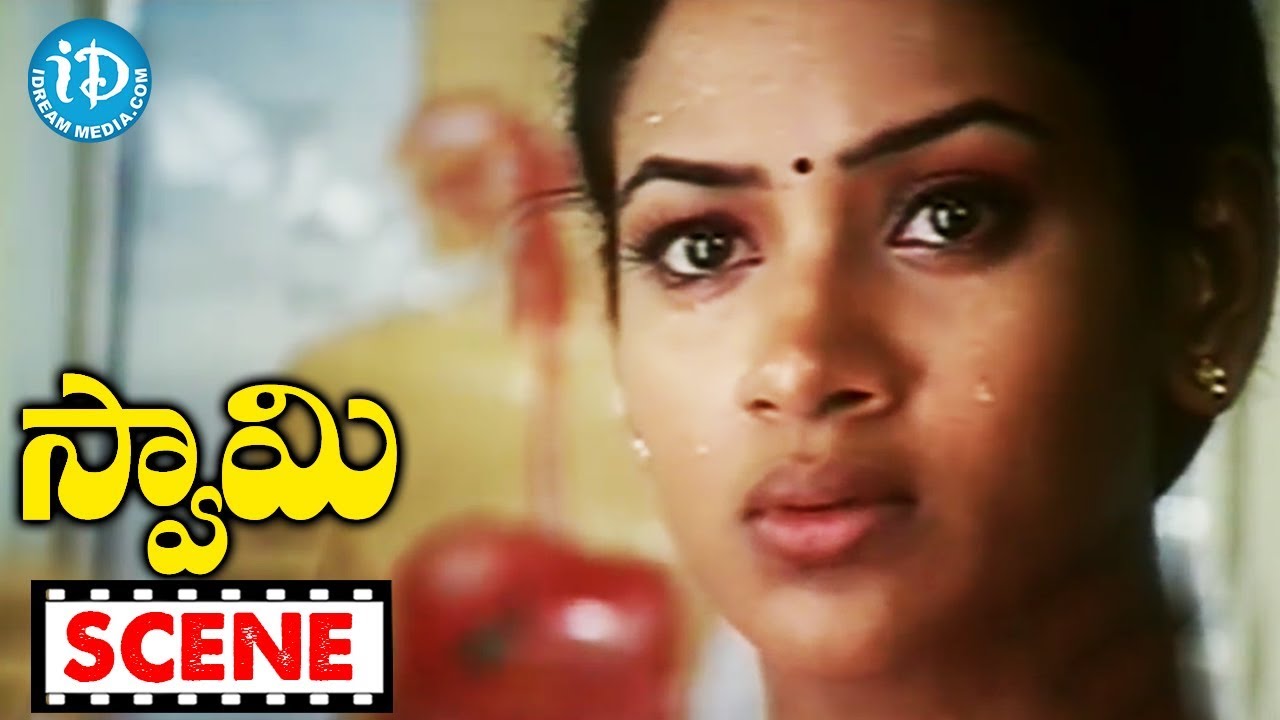 Swamy Movie || Nandamuri Hari Krishna || Aamani || Rajiv Kanakala || MM ...