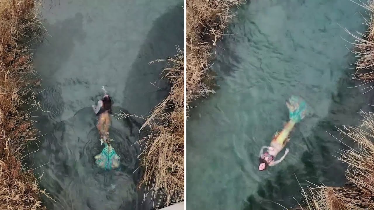 15 Real Mermaid Sightings From History Youtube