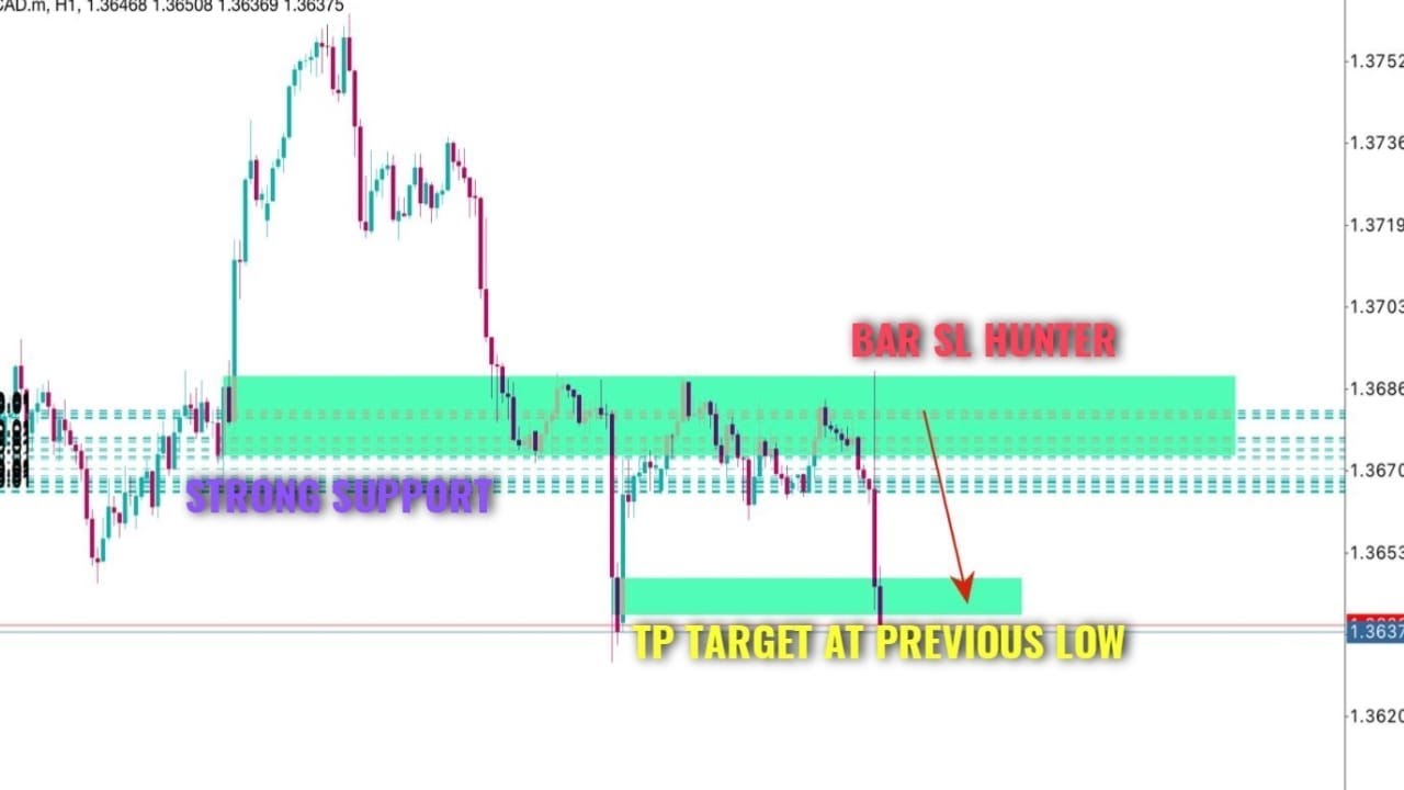 Bar SL hunter!! every week USDCAD CSM SELL CONFO. bystra + bbma - YouTube