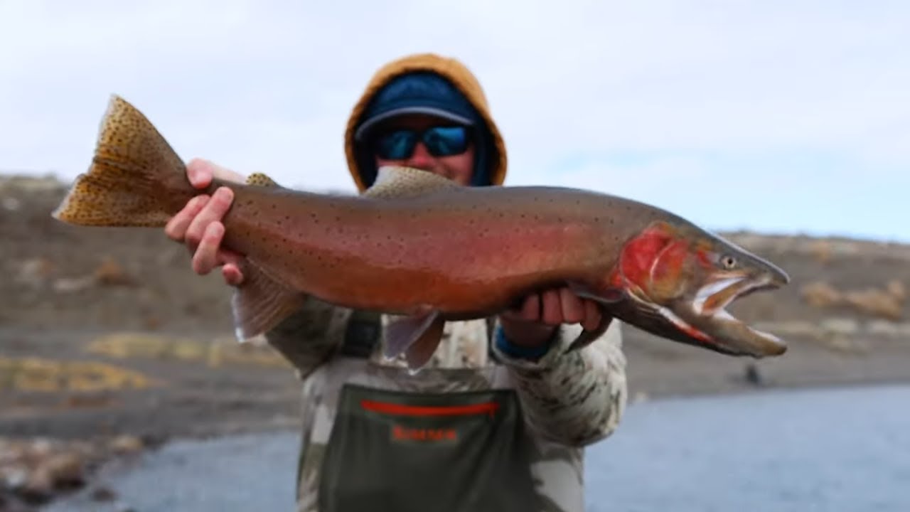 Pyramid Lake - Largest Cutthroat in the World - YouTube