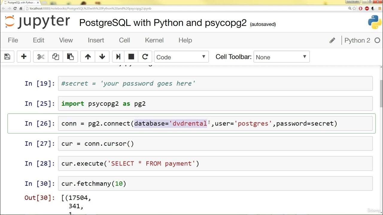 072 Psycopg2 Example Usage - YouTube
