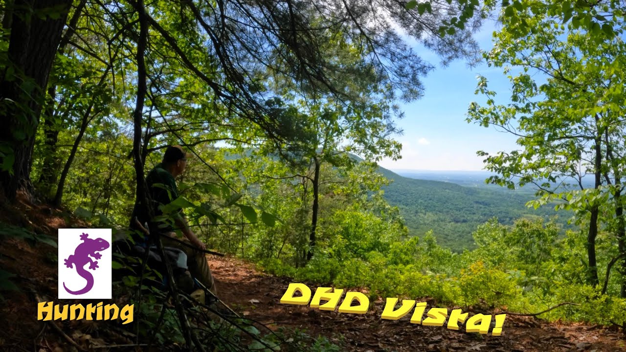 Purple Lizard Hunting near Colonel Denning on the Tuscarora Trail - YouTube