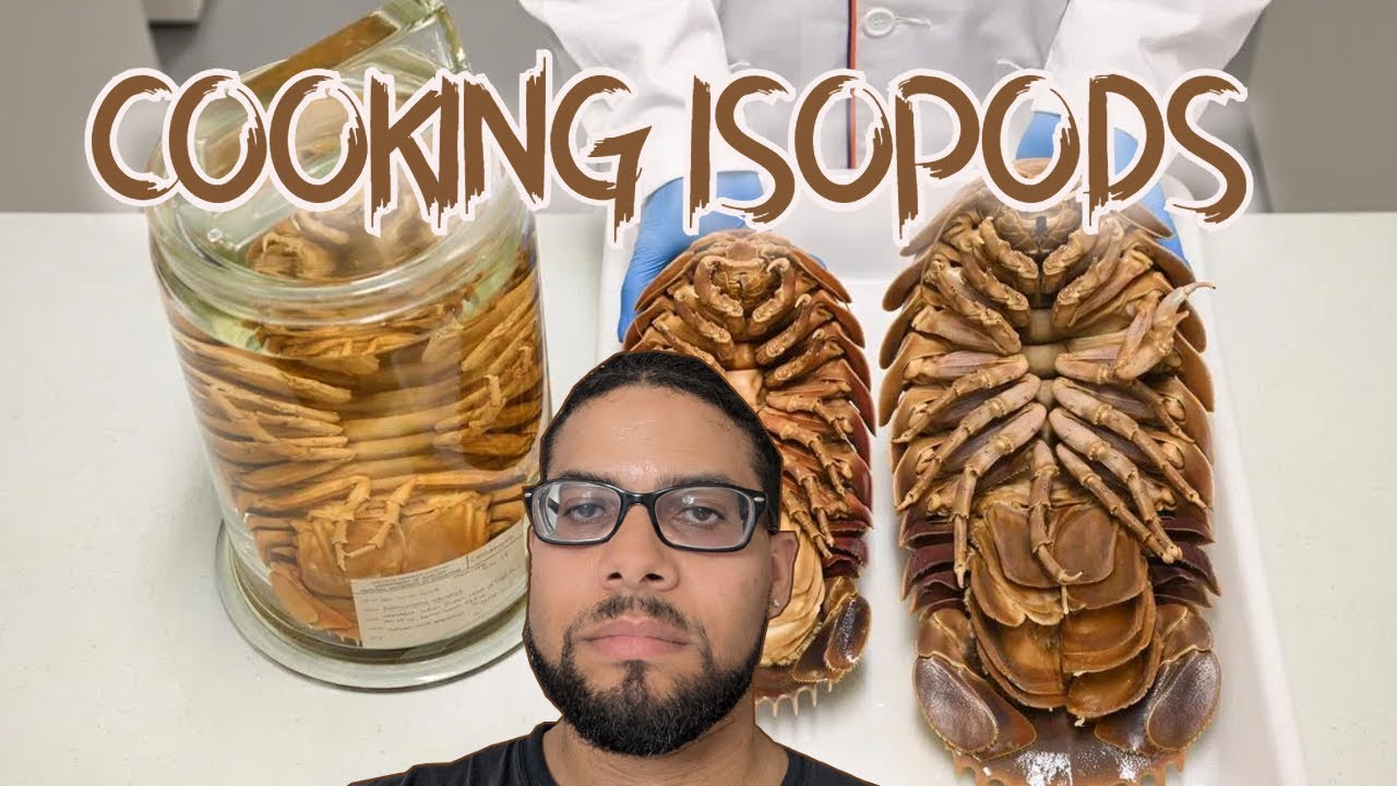cooking isopods - YouTube