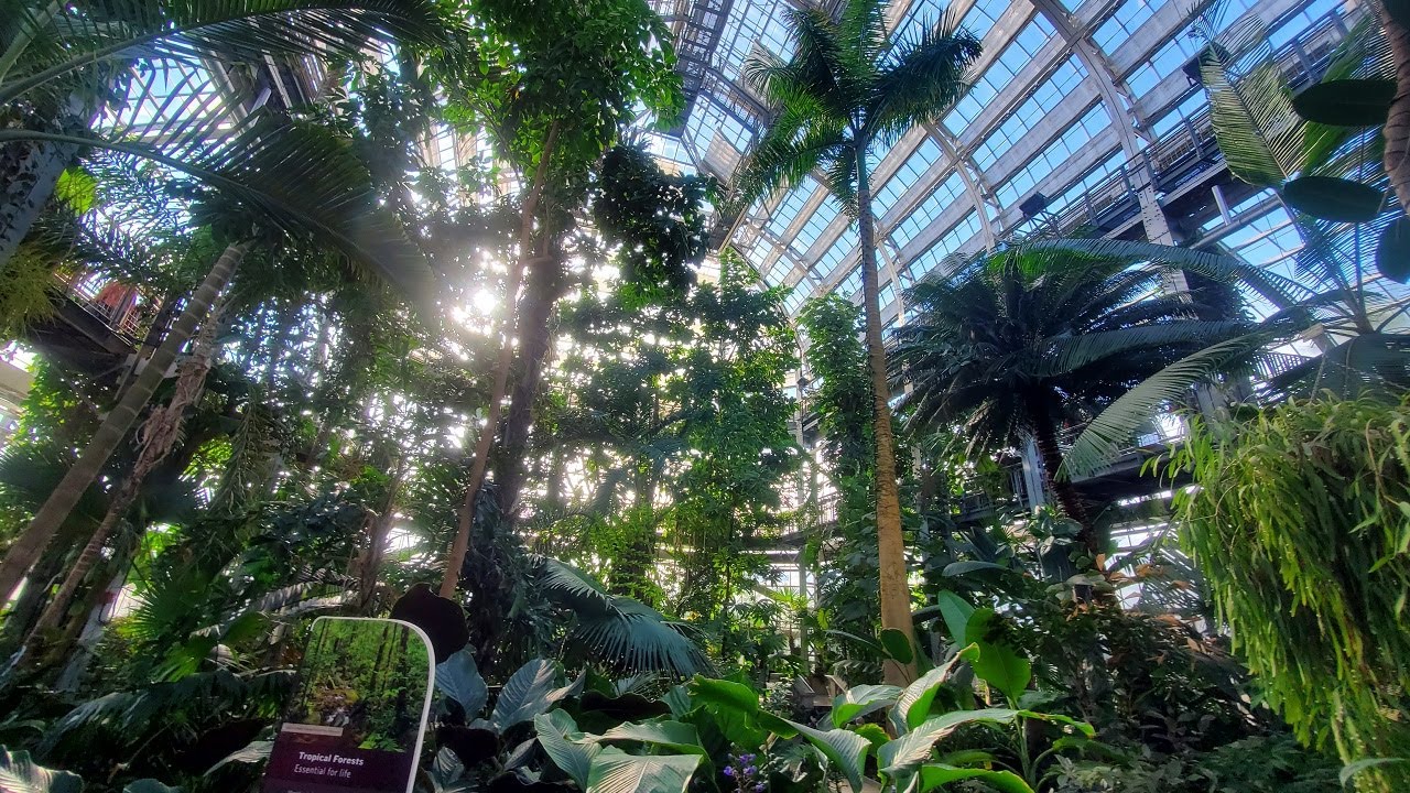U.S. Botanic Garden in Washington, DC - YouTube