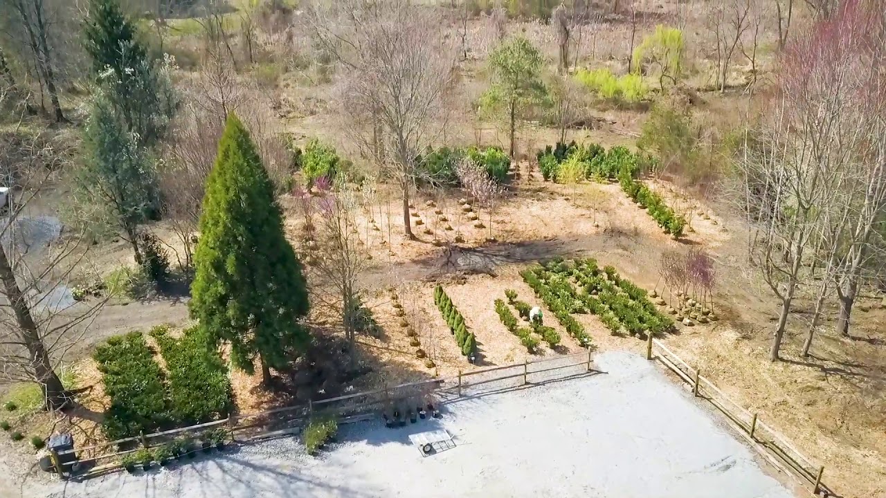 Smithbridge Gardens: Virtual Tour - YouTube