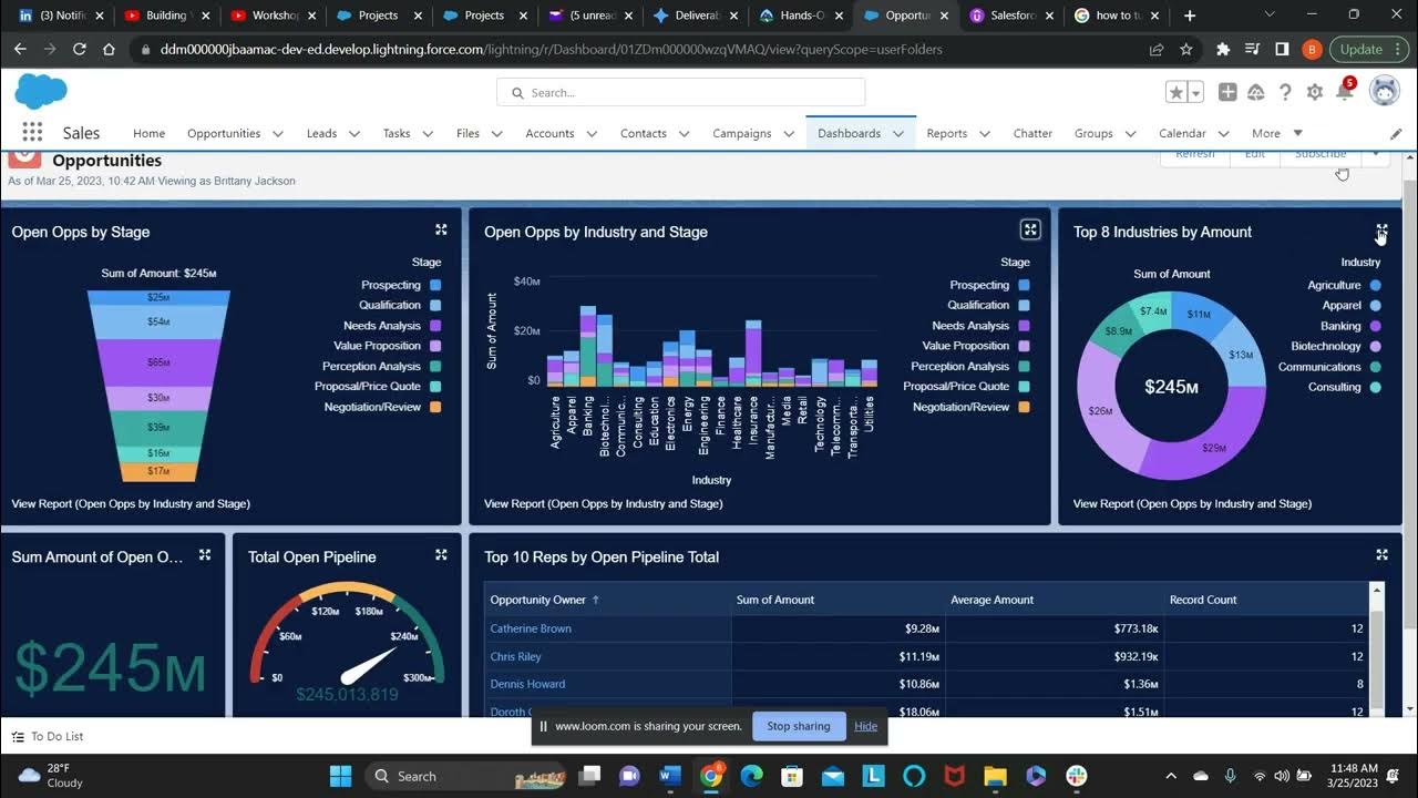 Opportunities Dashboard - Salesforce - YouTube