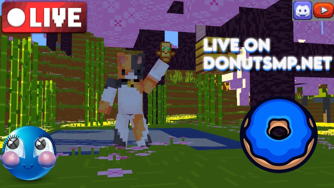 Loot Drop Donut SMP Rating Bases 500k Per - YouTube