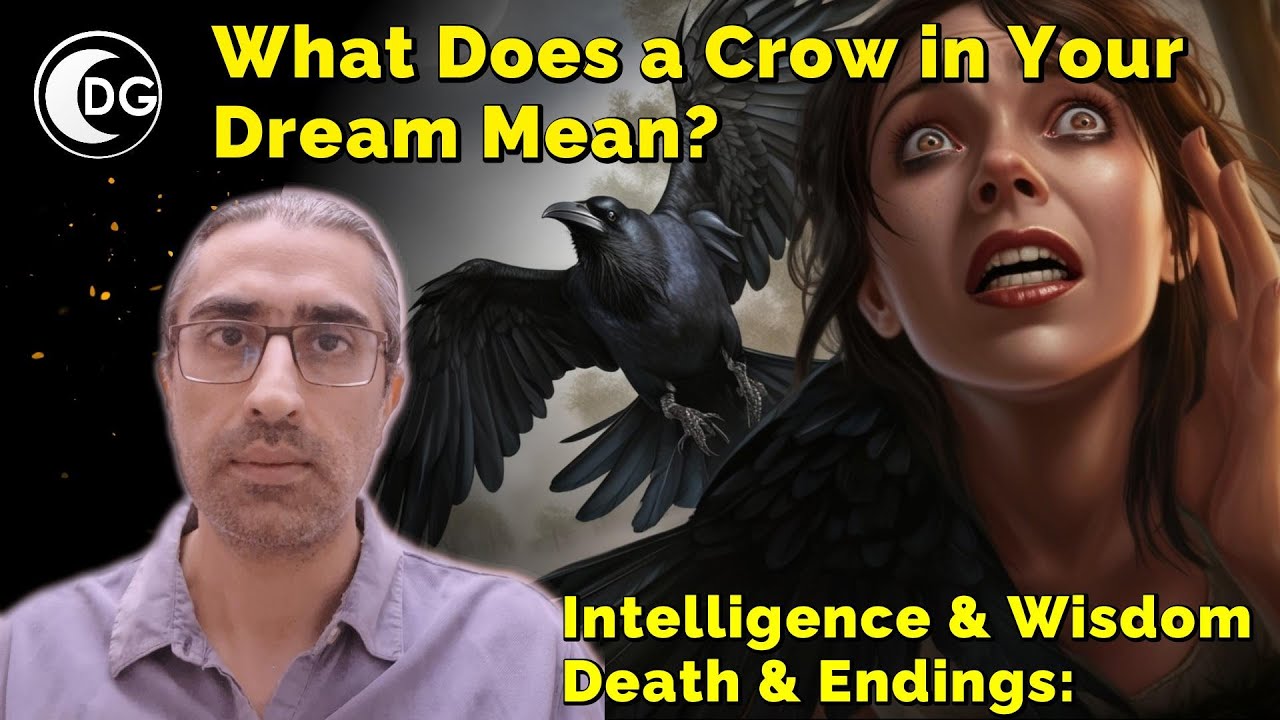 Crow Dream Meaning and Interpretation - YouTube