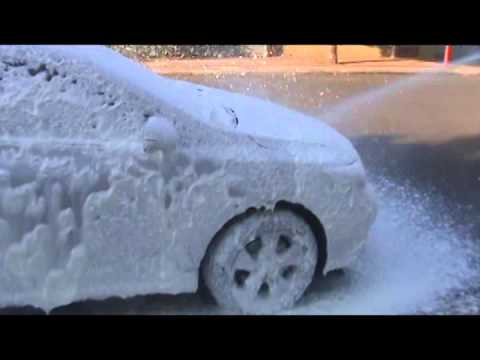 SHAMPOOZEIRA - ZAMBINE