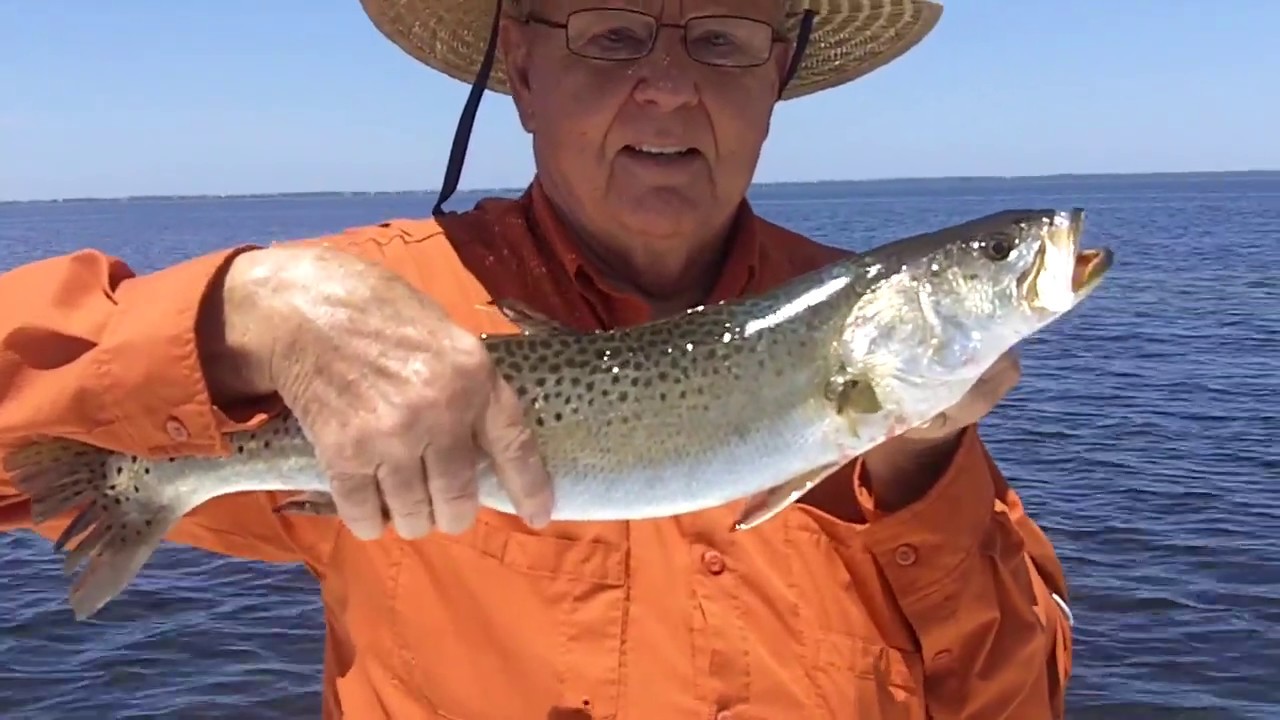St Joe Florida Bay fishing May 2019 - YouTube