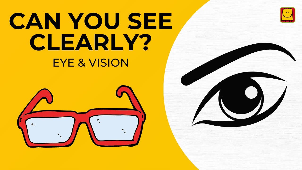 Can you see clearly? l Eye and Vision - YouTube