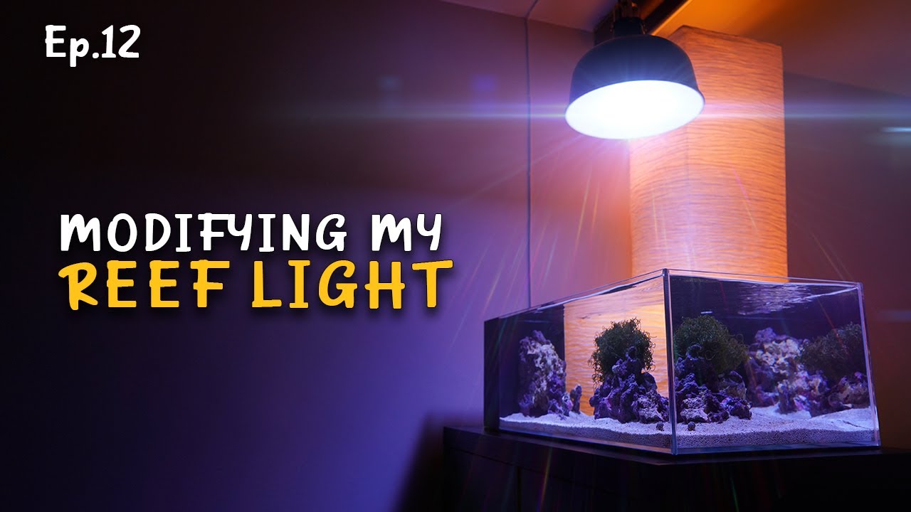 Diy Nano Reef Led Lighting | Shelly Lighting