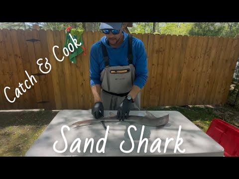 Catch and Cook Sand Shark