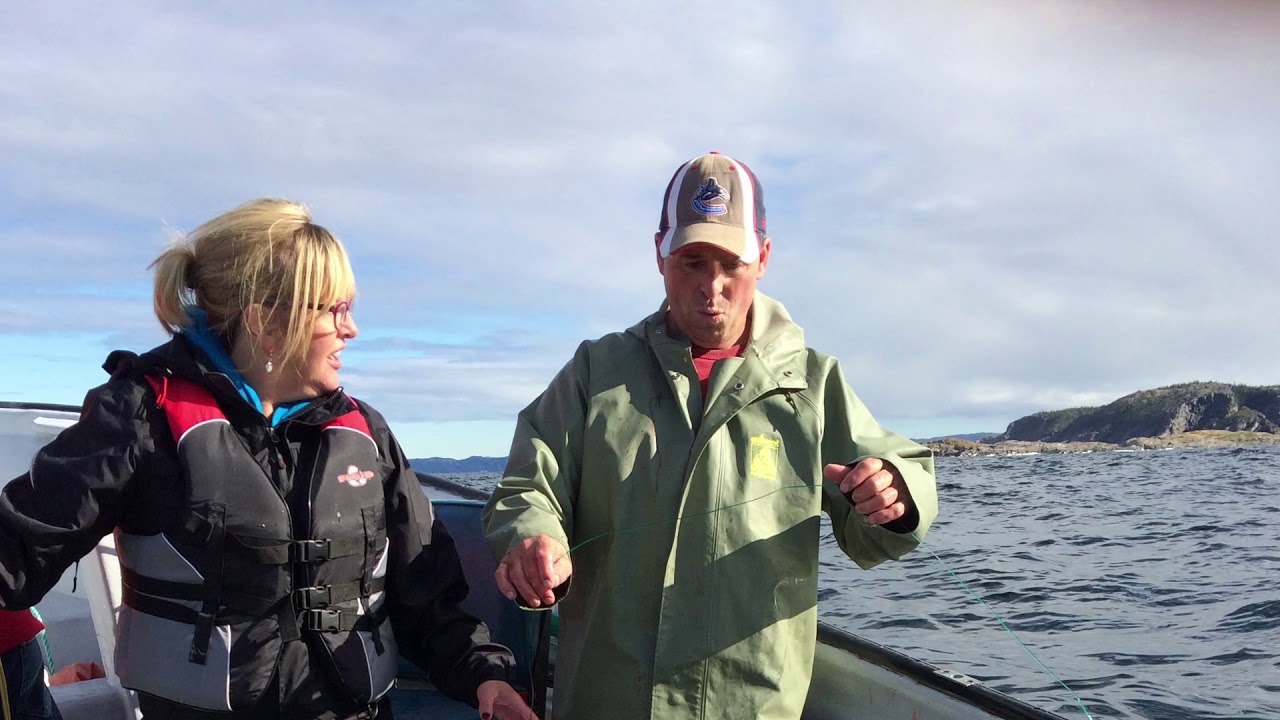 Newfoundland cod fishing - YouTube