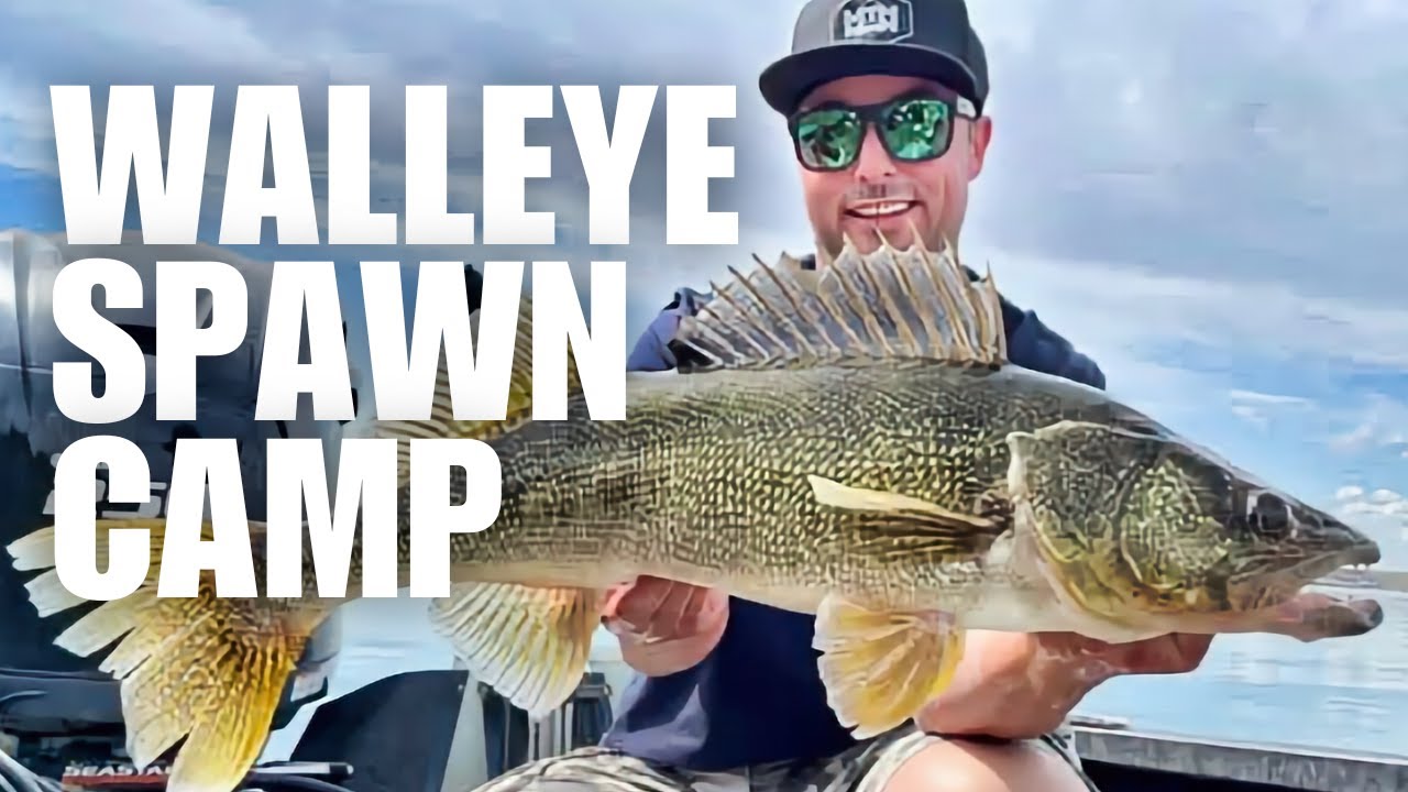 Saving Canadian Walleye: Fish Hatchery Behind the scenes - YouTube