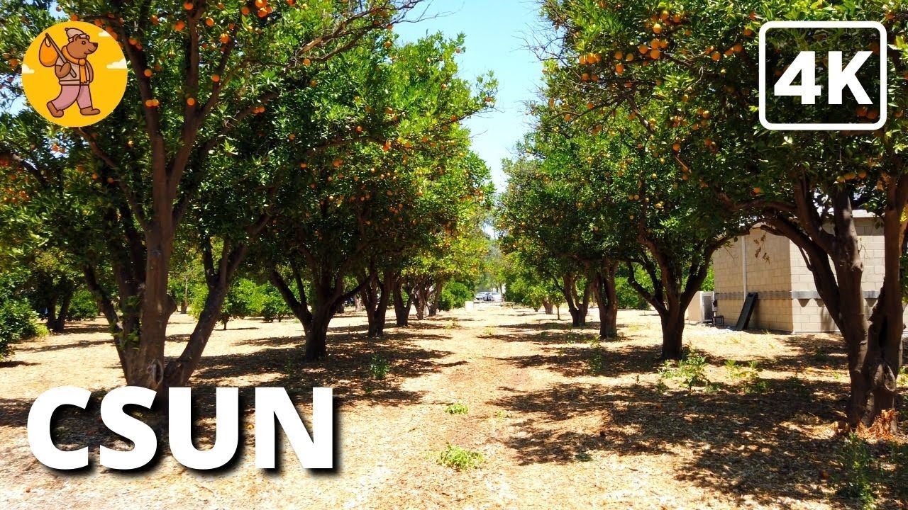 CSUN Orange Grove Walking Tour, California State University Northridge ...