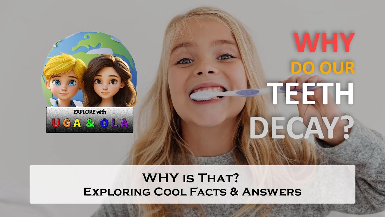 Why Do Our Teeth Decay? 🦷 Fun Dental Health Tips for Kids! - YouTube