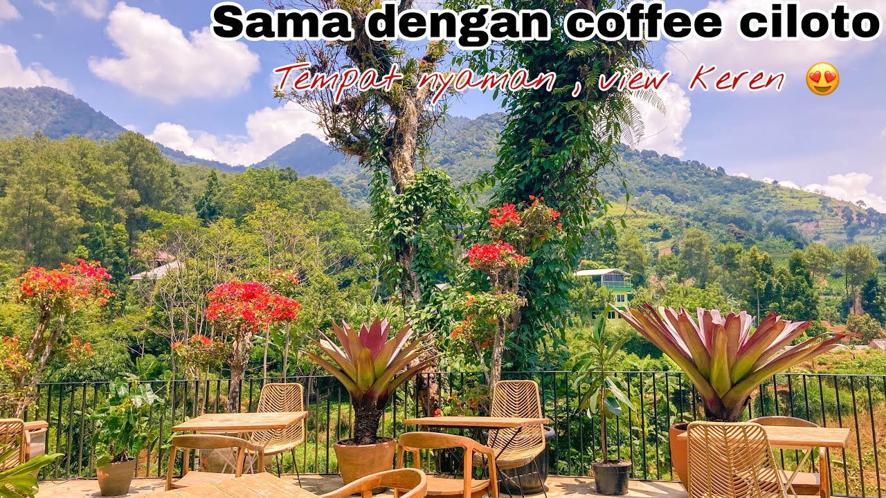 Cafe recommended di puncak | Sama dengan Coffe ciloto - YouTube