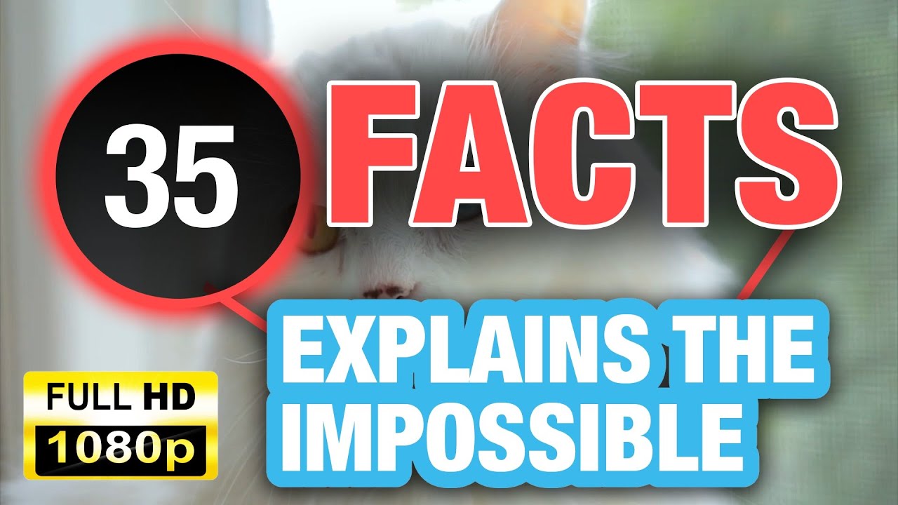 35 Unbelievable Facts That Will Surprise Everyone You Share Them With ...