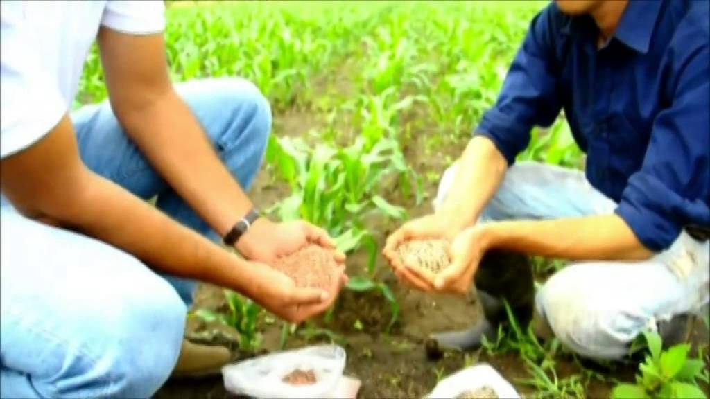 Fertica Institucional 2014 - YouTube