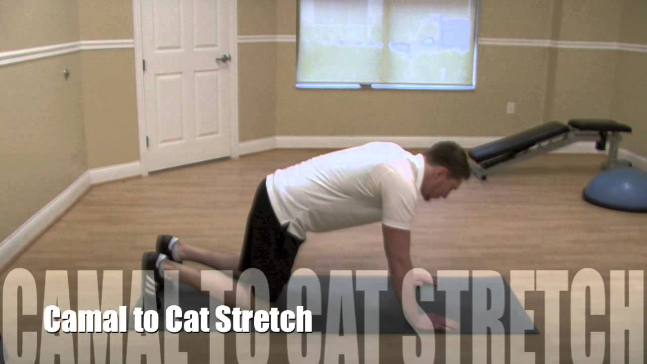 2 Different Ways How to Stretch your Back Properly - YouTube