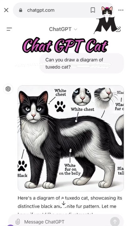 Chat GPT Drew a Cat🤗#cat #chatgpt #chatgptupdate - YouTube