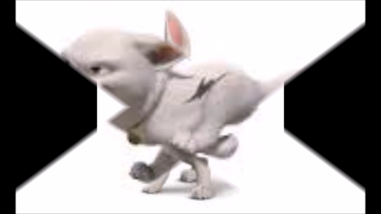 Bolt,Balto and Chase tribute - YouTube