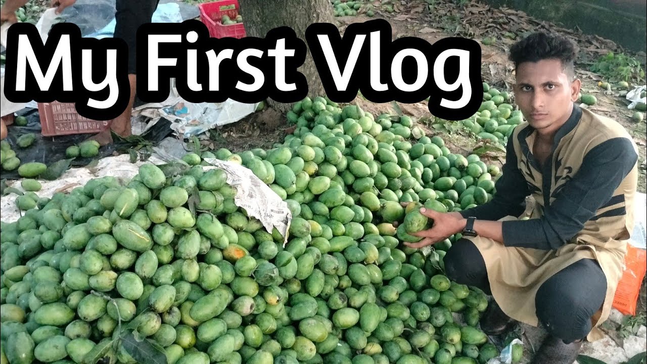 My Vlog | Aam ka baag | Aam ka bagicha - YouTube