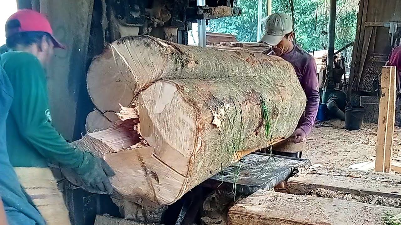 Besar....!! Menggergaji kayu Seto pecah dan banyak terbuang - YouTube