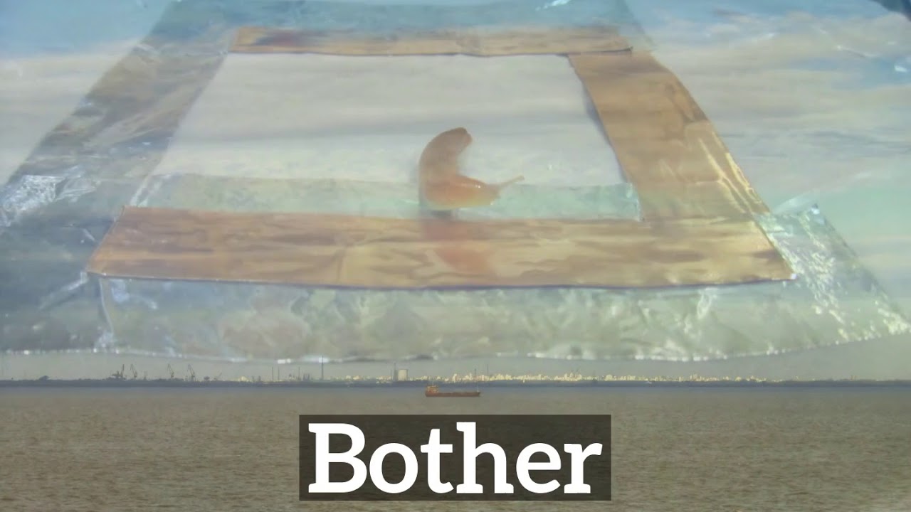 What Is Bother How Does Bother Look How To Say Bother In English what-is-bother-how-does-bother-look-how-to-say-bother-in-english