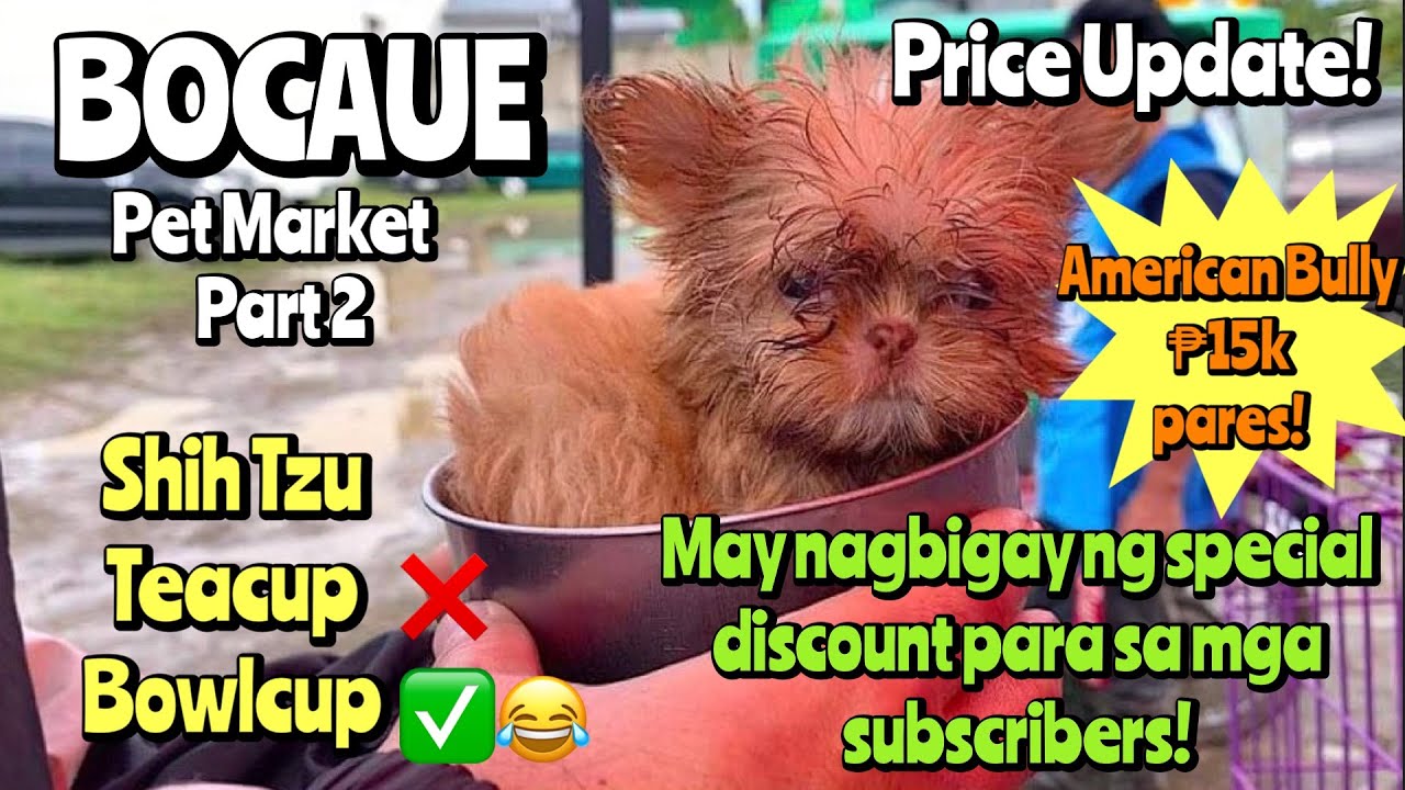 Bocaue Pet Market Part 2 | January 06, 2023 | Bocaue,Bulacan - YouTube