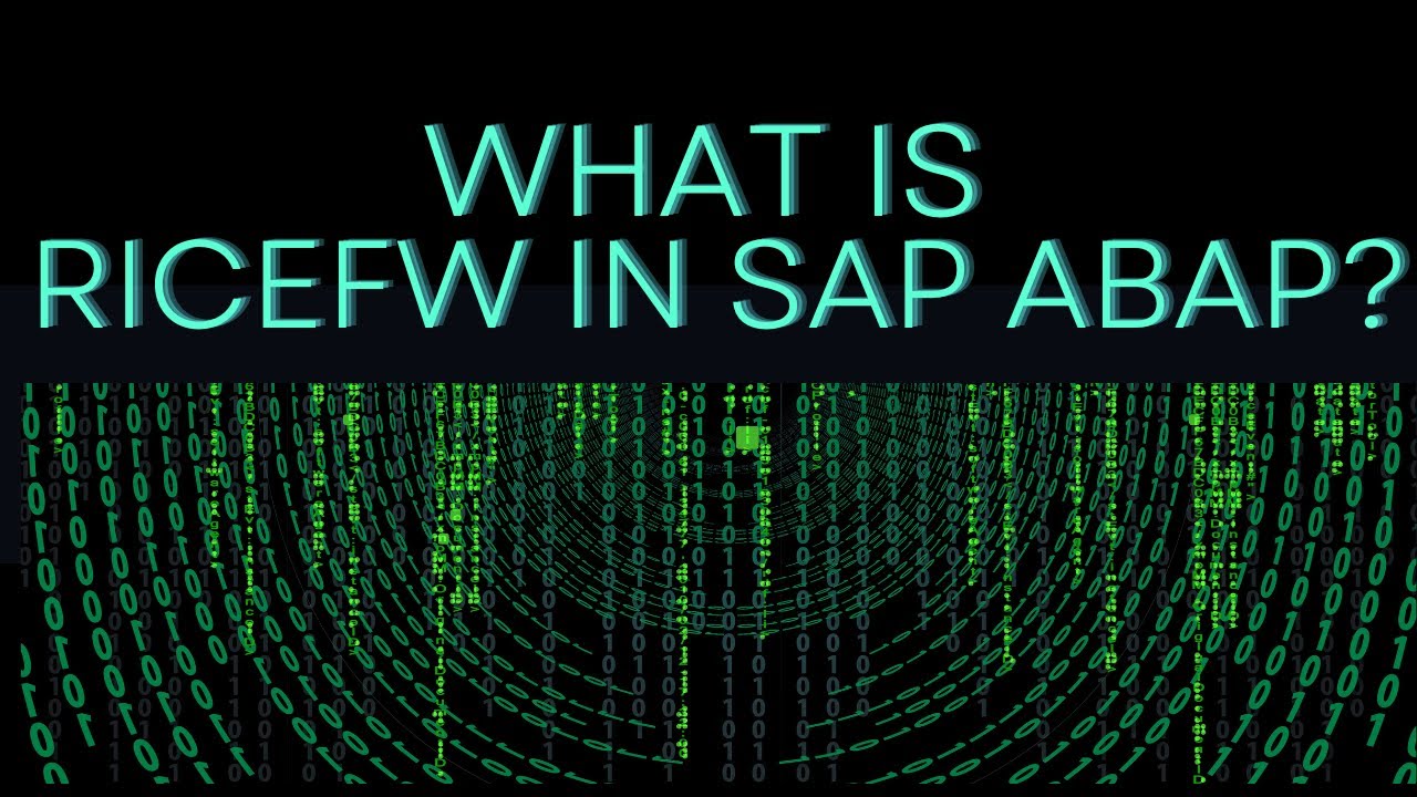 What is RICEFW And Data Dictionary - YouTube