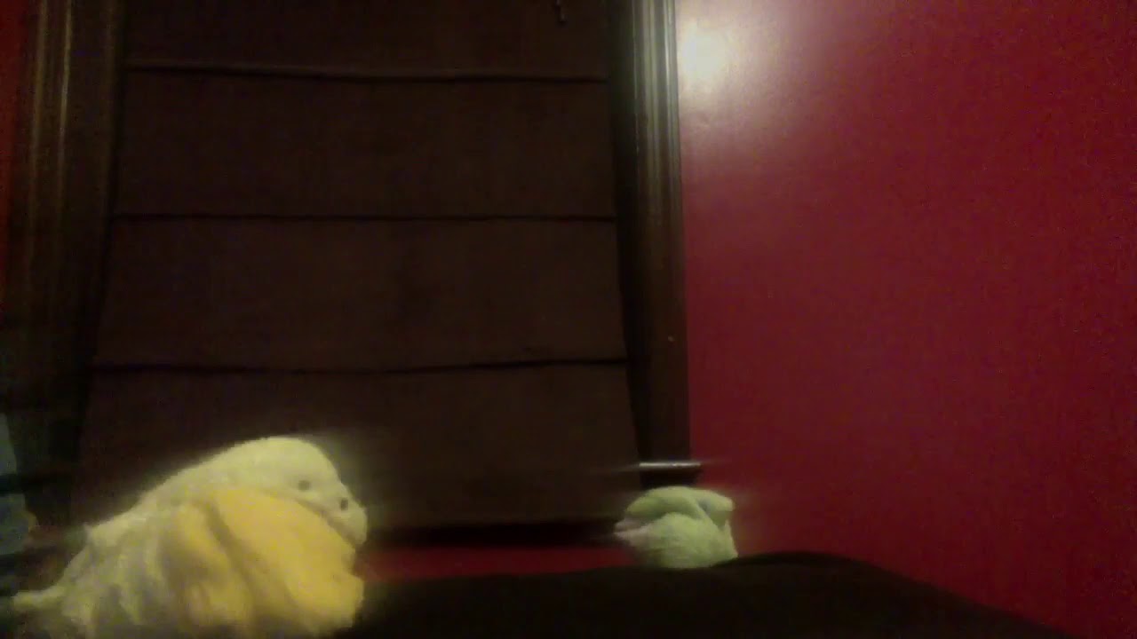 Doop Poop - YouTube