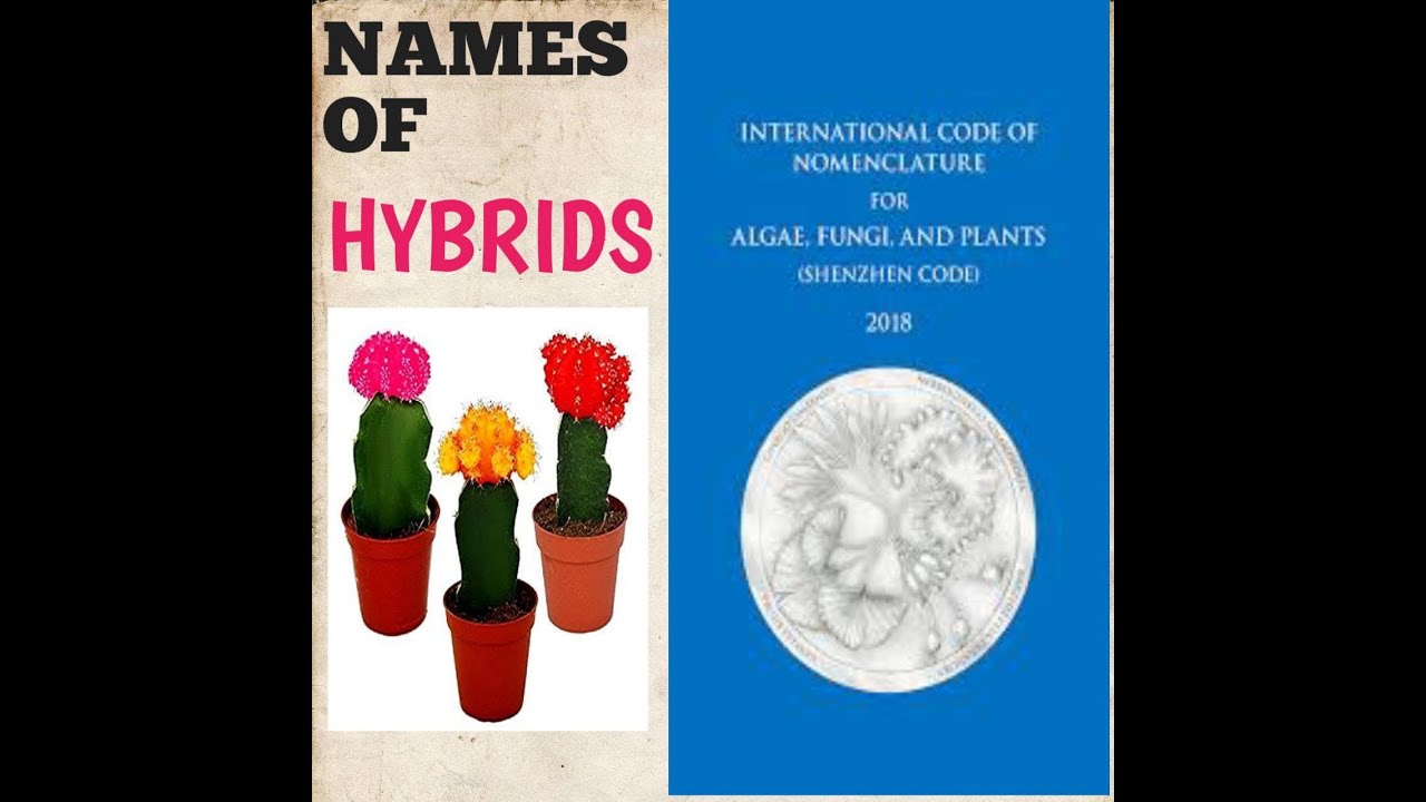 NAMES OF HYBRIDS . BOTANY. HOW HYBRIDS ARE NAMED SCIENTIFICALLY ? - YouTube