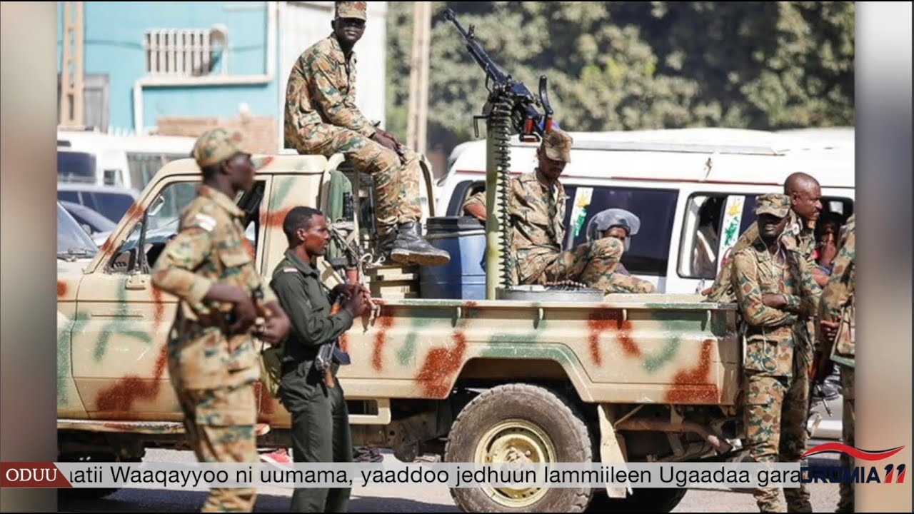 Oromia 11 :Oromia 11 : The Initiation for Peace Talk and the Demand for ...