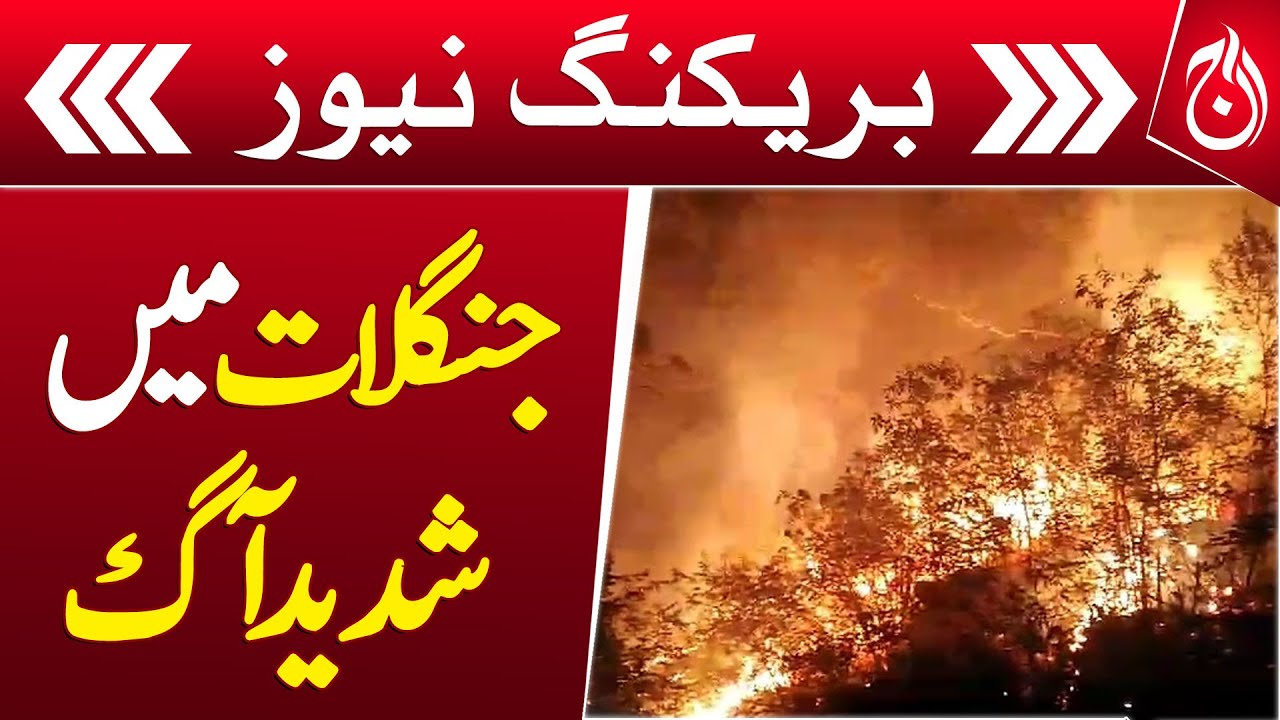 Massive fire in three forests of Murree - Breaking News - Aaj News ...