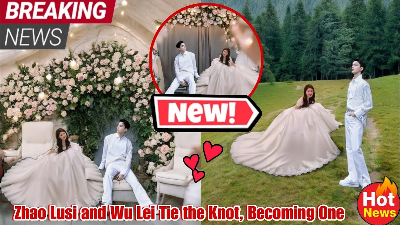 Happily Ever After: Zhao Lusi and Wu Lei's Fairy Tale Wedding Makes ...
