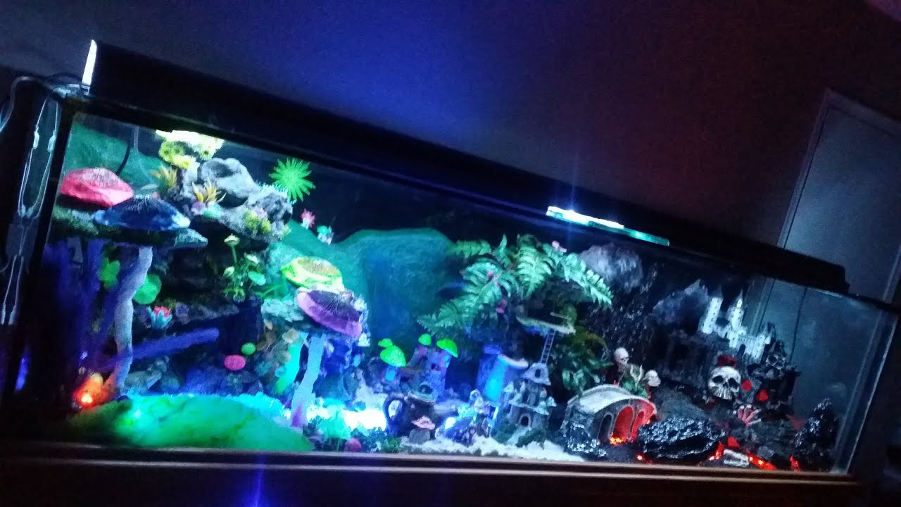 I created this Fairy and Dragons Fish Tank from scratch - YouTube
